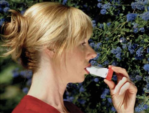 Symbicort® Budesonideformoterol Maintenance And Reliever Therapy