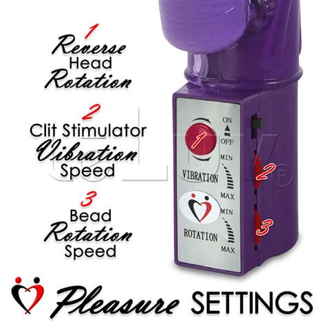 Rabbit And Other Vibrator Battery And Controls