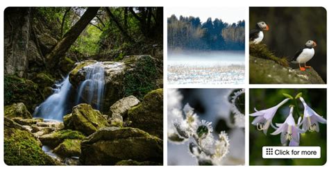 How To Create A WordPress Gallery Step By Step