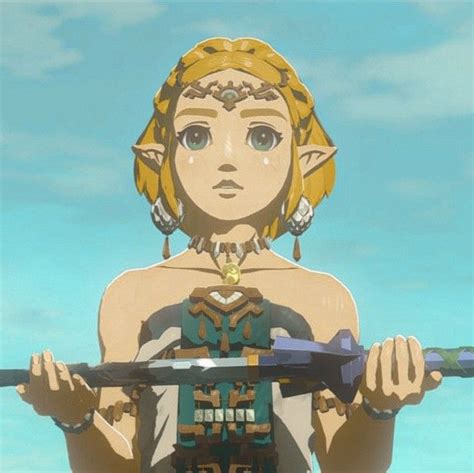 Zelda Icon Legend Of Zelda Zelda Art Legend Of Zelda Breath