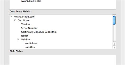 Annals Of Oracle S Improbable Errors ORA 29024 Certificate Validation