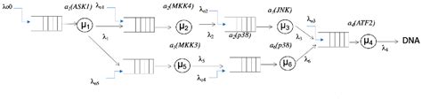 Figure 1 From Kullbackleibler Divergence Of An Open Queuing Network Of A Cell Signal
