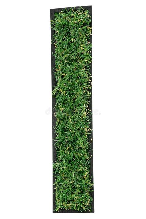 Grass Letter M Uppercase Isolated On White Background Stock