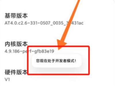 miui13开发者模式怎么打开 业百科
