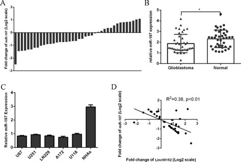 Mir 107 Expression Was Downregulated In The Glioblastoma Tissues And