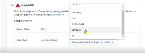 Composer Anypoint Api Api Sharing