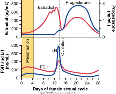 Female Physiology Pharmacology Of Reproductive Drugs Exam 1