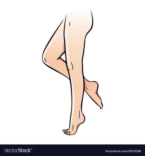 Female Bare Legs Attractive Long Shape Wellness Vector Image