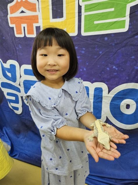 2024 유치원입소대기 처음학교로 우선모집 일반모집 결과발표 알아보기 네이버 블로그