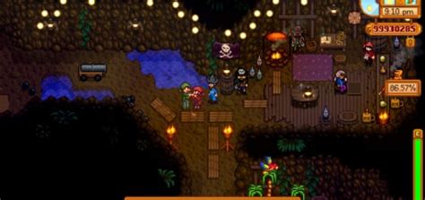 Stardew Valley The Pirates Wife Guide Hold To Reset