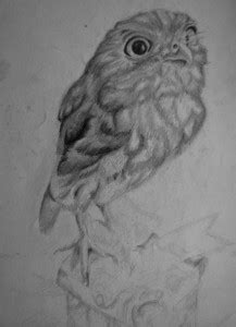 10 Modelos para comenzar a dibujar a lápiz Dibujos a lapiz