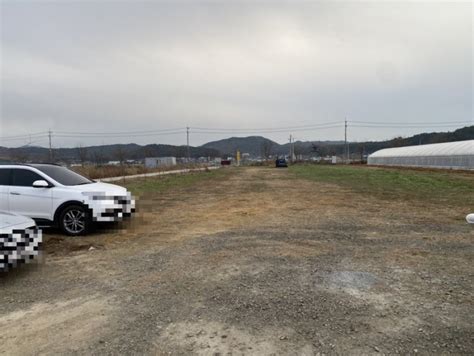 충남 보령 딸기체험 보령팜 체험농장 후기 네이버 블로그