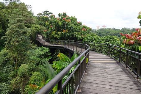Kent Ridge Park Singapore All You Need To Know Before You Go With