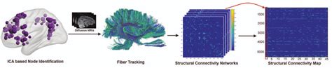 The Chartflow Of Structural Brain Network Construction Download Scientific Diagram