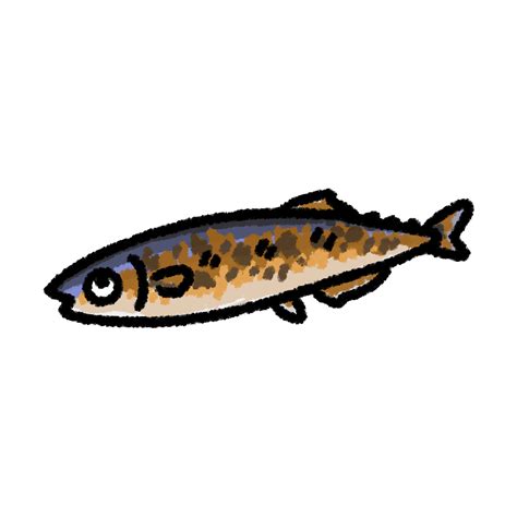 カブのイラスト ゆるくてかわいい無料イラスト・アイコン素材屋「ぴよたそ」