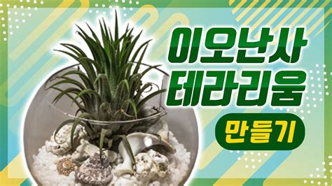 재미지다 재미져 마을강사 체험 이오난사 테라리움 Youtube