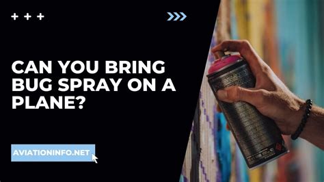 Can You Bring Bug Spray On A Plane Avoiding Issues 101 In 2026 Aviation Info