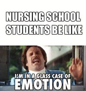 40 Funny And Relatable Nursing School Memes Nursebuff
