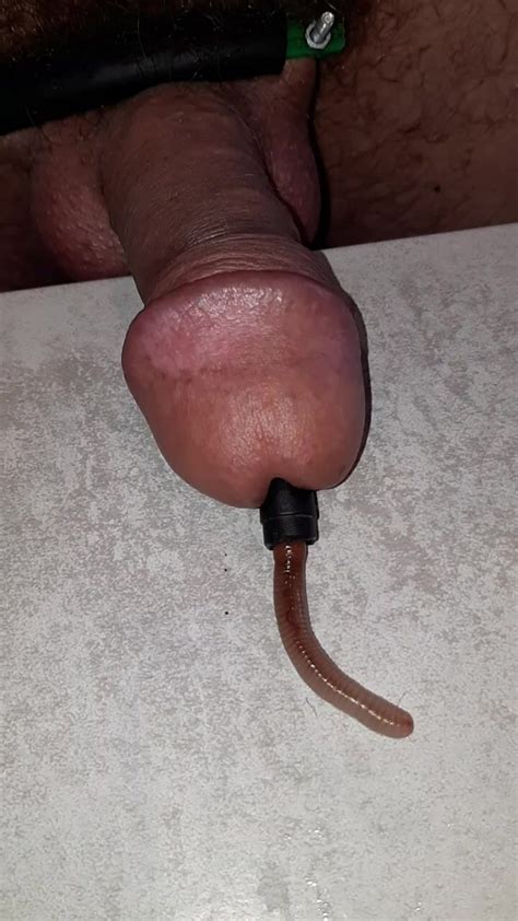 A Weird Worm For My Cock