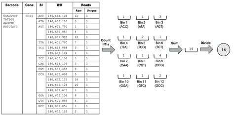 Illumina Pipseq Scrna Dragen
