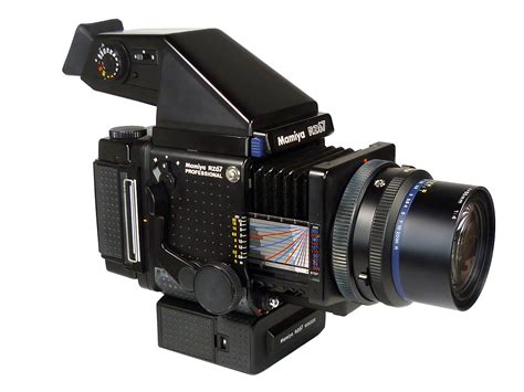 Exploring Moama A Hidden Gem On The Murray River Cfs News