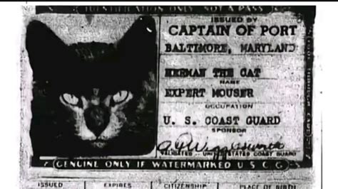 Universal Script FE GodMode Roblox Scripts ScriptBlox