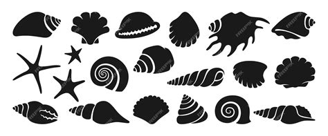 Seashell Stencil Patterns