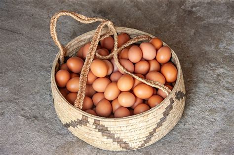 La Proteína En Los Niños 4 Claves Sobre El Consumo De Huevo En Esta