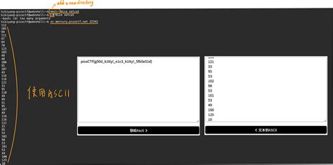 Ctf Nice Netcat Kikiyang Medium