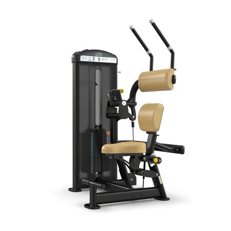 True Fitness Fuse 1400 Abdominal
