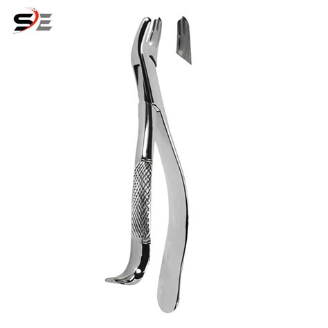 Extraction Forceps American Pattern 003 Spatula Experts