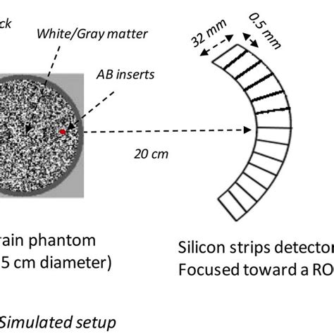 Schematic Representation Of The Coherent Scatter System Combining