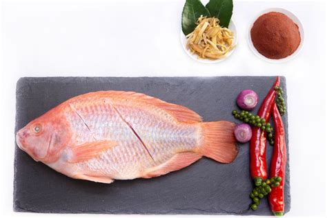 Cá điêu Hồng Hay Cá Diêu Hồng