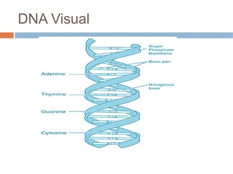 Apologia Biology Presentation 1 Life Scientific Method And Biochem