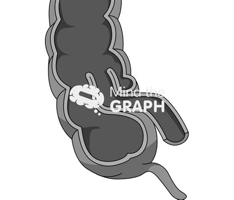 Free Intussusception Intestine Icons Symbols Pictures And Images