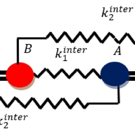 Schematic View Of Two Coupled Binuclear Units Showing The Intra And