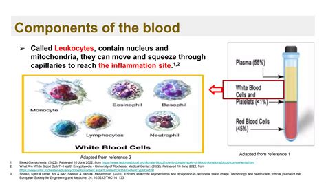 Hemostasis And Coagulation Cascade Pptx