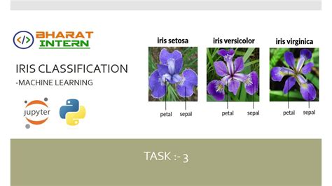 My One Month Internship At Bharat Intern Mohammad Asad Posted On The Topic Linkedin