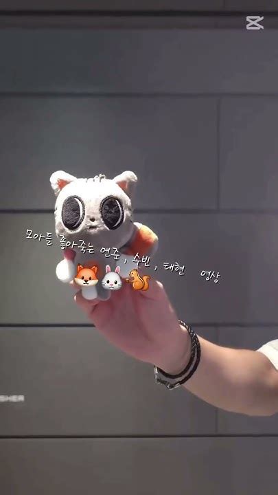 여러분들은 뿔바투 중에 누가제일 좋나요~ Youtube