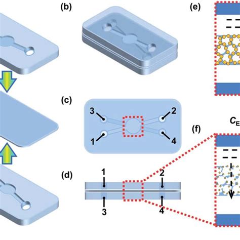 Schematic Illustration Of The Microfluidic Membrane Device For