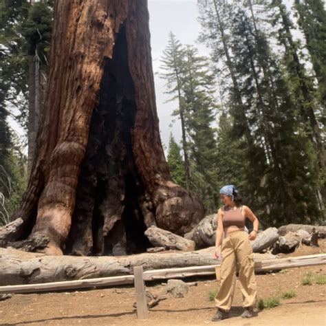 How To See Wawona And Mariposa Grove One Day Guide Were In The Rockies