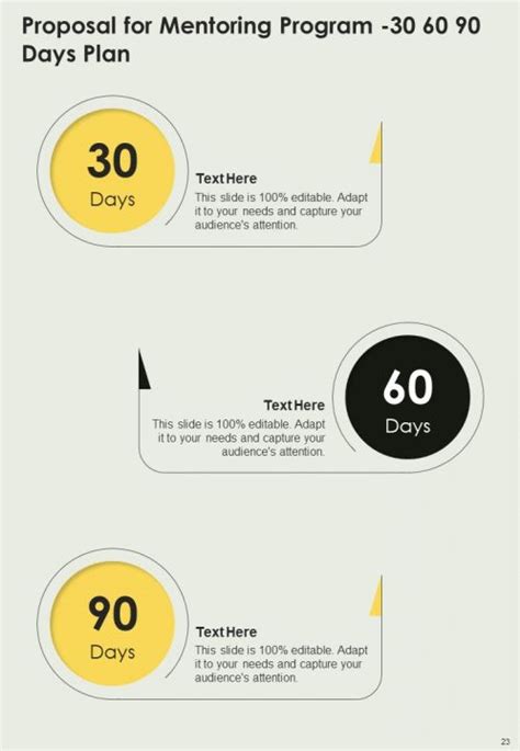 Proposal For Mentoring Program Report Sample Example Document Ppt Example