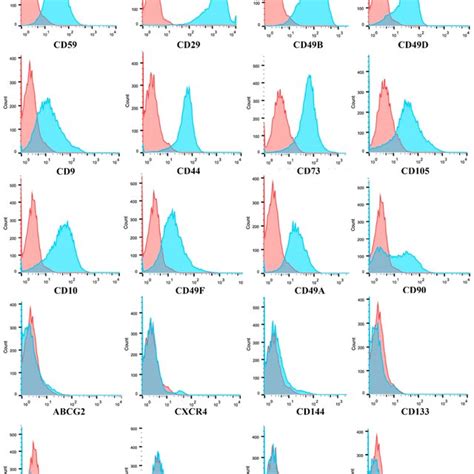 Differential Gene Expression Analysis In The Tcga Gbm Rna Seq Dataset