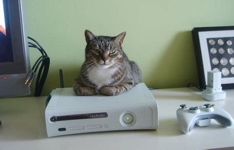 Xbox Cat By Tkasabov2 On Deviantart