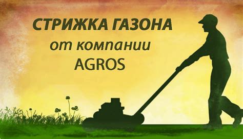 Лечение и уход за растениями в офисе и саду