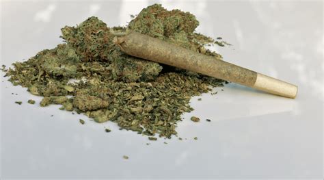 What Is Reggie Weed And Is It Safe Flight2vegas Smoke Shop