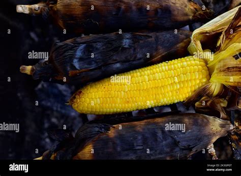 Top View Freshly Boiled Or Grilled Sweet Corn On The Cob Sprinkled With