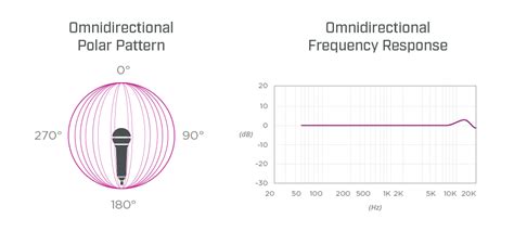 All You Need To Know About Electret Condenser Microphones Same Sky