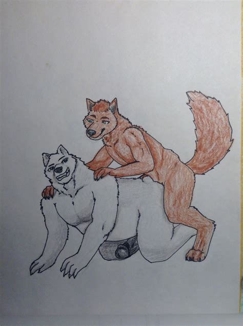 Rule 34 Anal Ass Bear Canine Male Mammal Mounting Musclegut Muscles