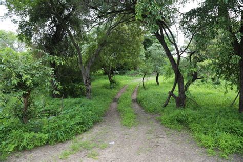 Katima Bilder Durchsuchen 68 Archivfotos Vektorgrafiken Und Videos Adobe Stock